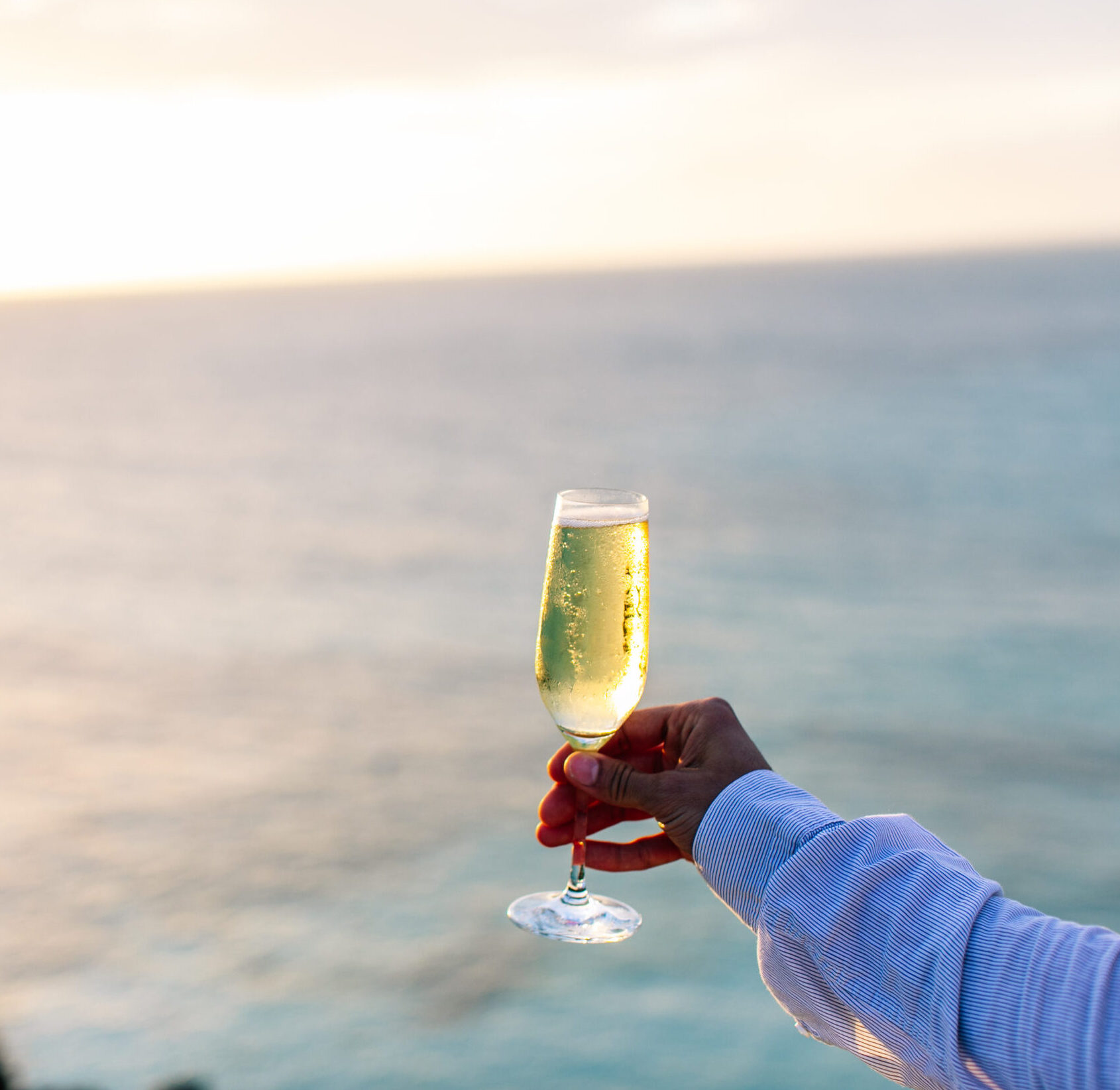 Behind The Cove's Art & Design - All Inspired by Nature - The Cove ...